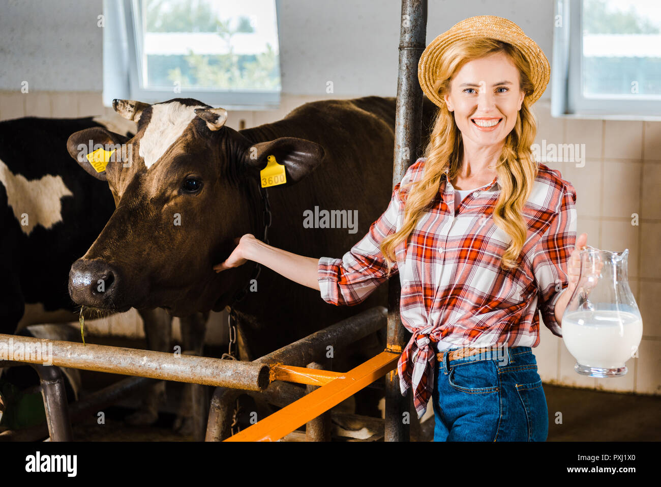 attractive farmer holding jug of milk and palming cow in stable Stock ...