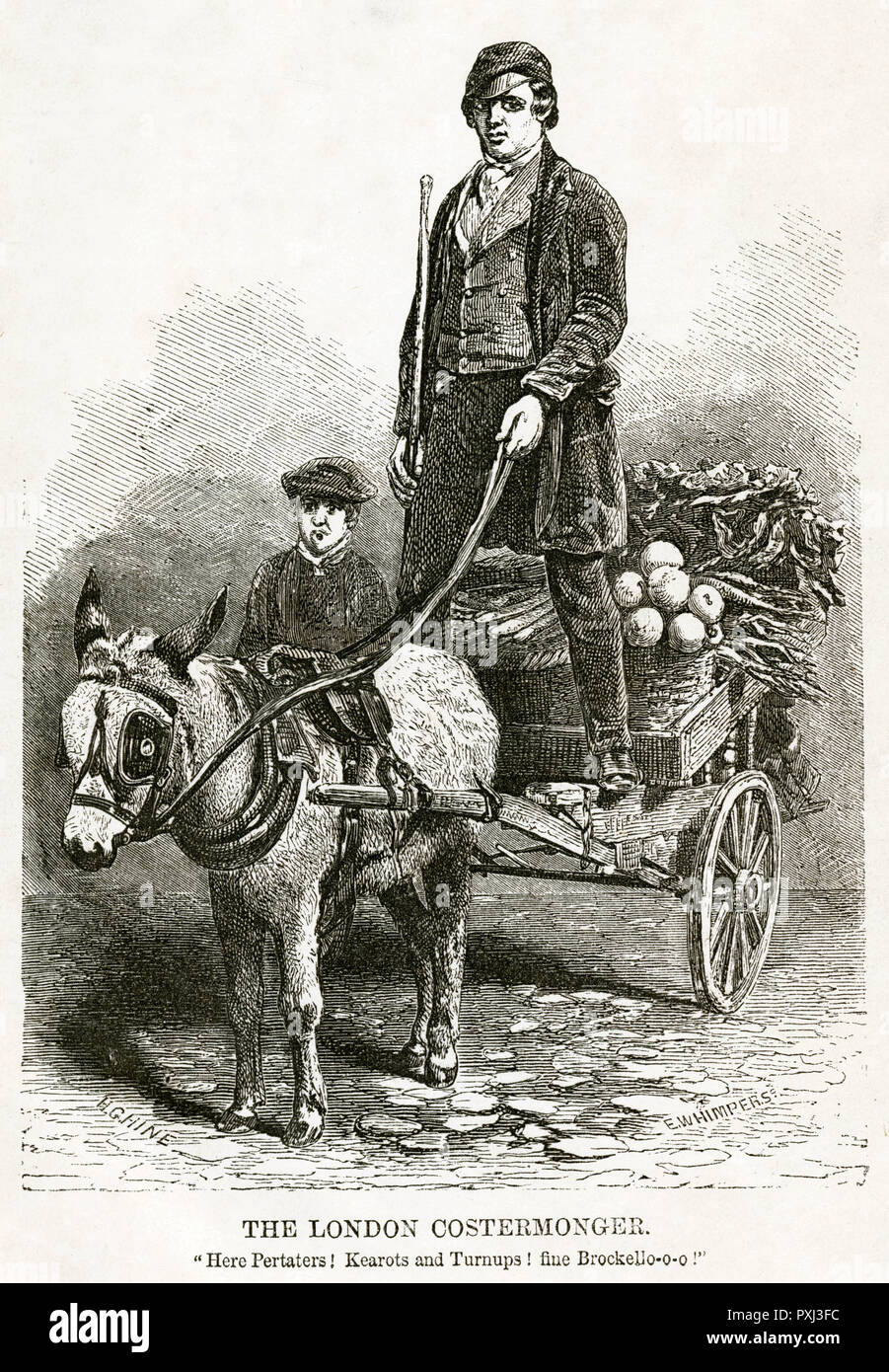 London costermonger 1850s Stock Photo - Alamy