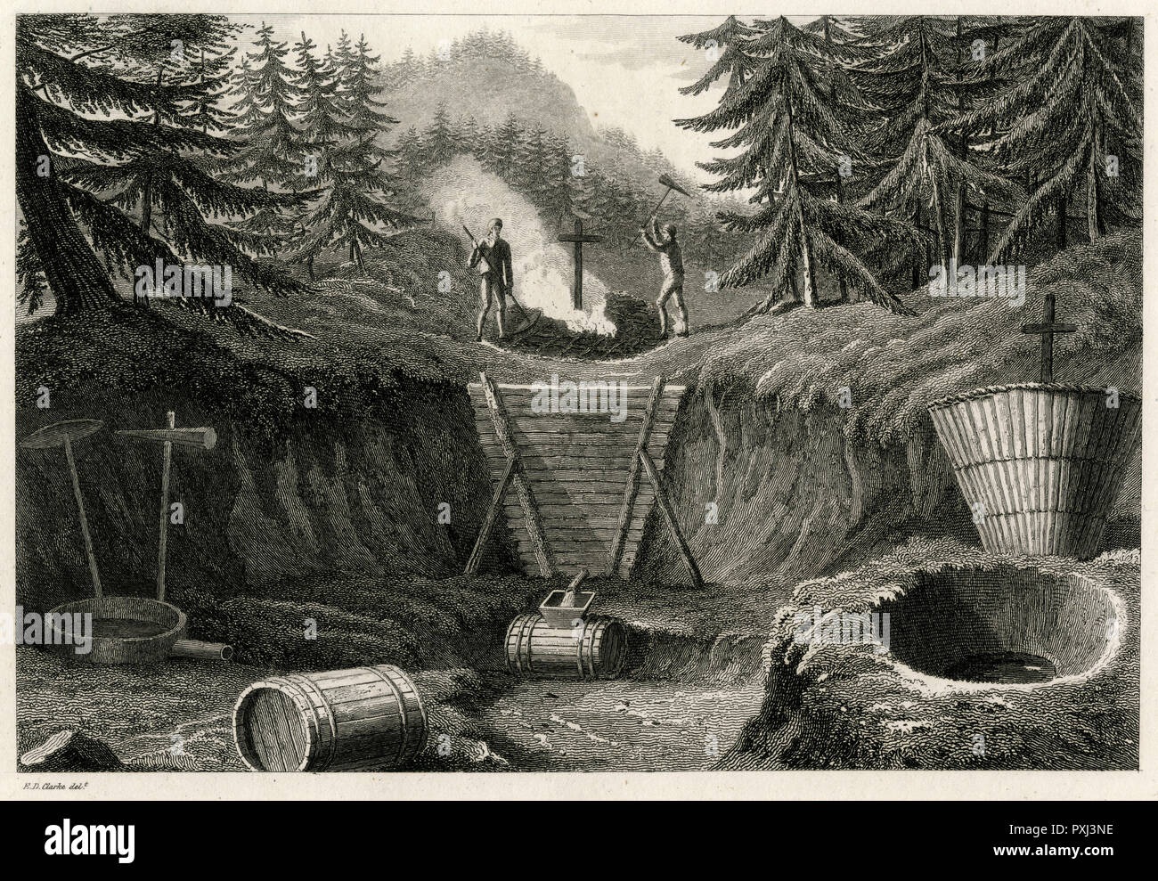 Our forests hi-res stock photography and images - Alamy