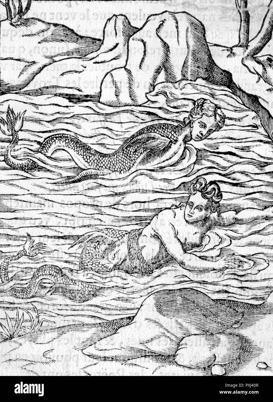 Mermaids hi-res stock photography and images - Alamy