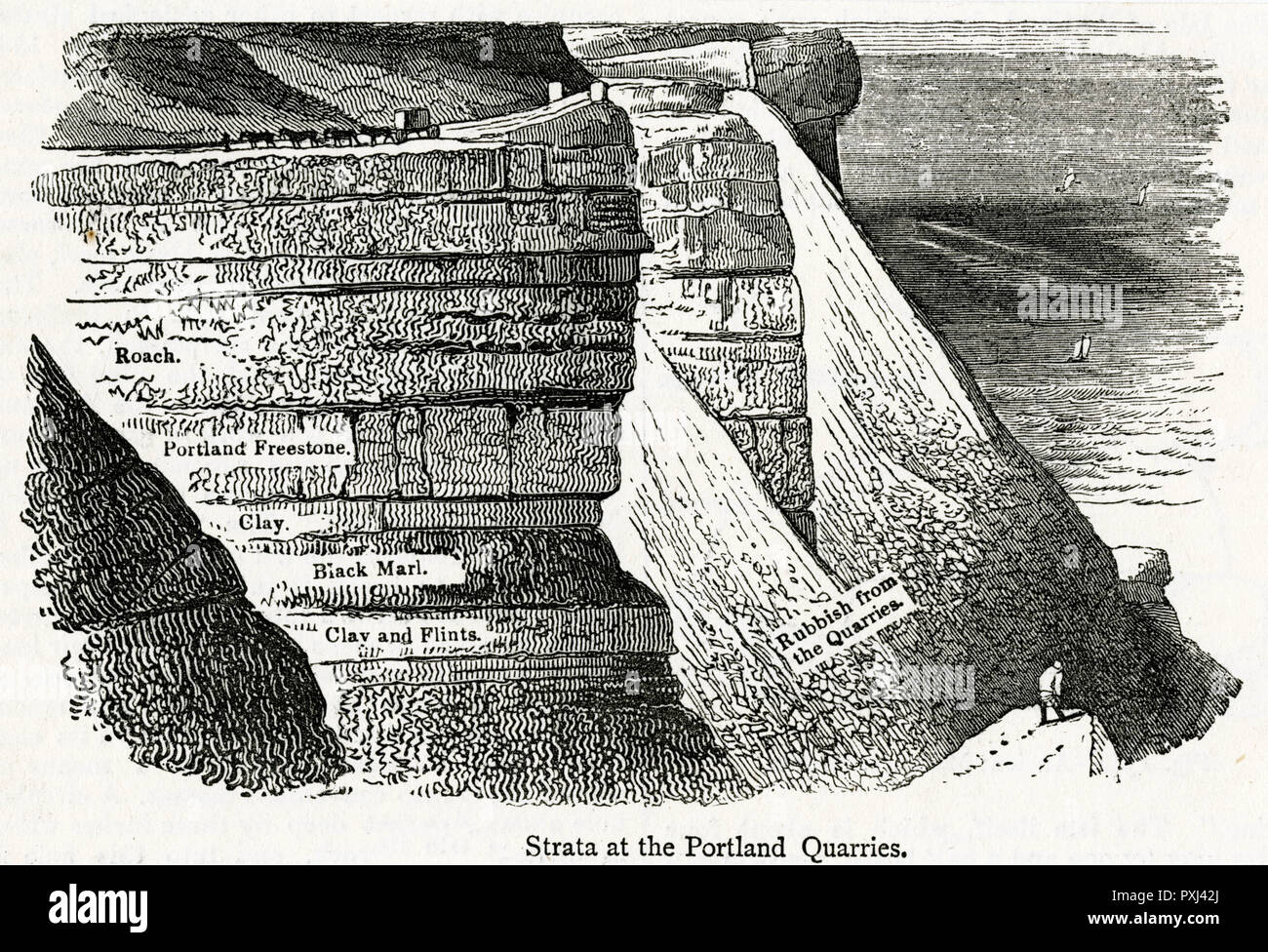 Portland quarry strata hi-res stock photography and images - Alamy
