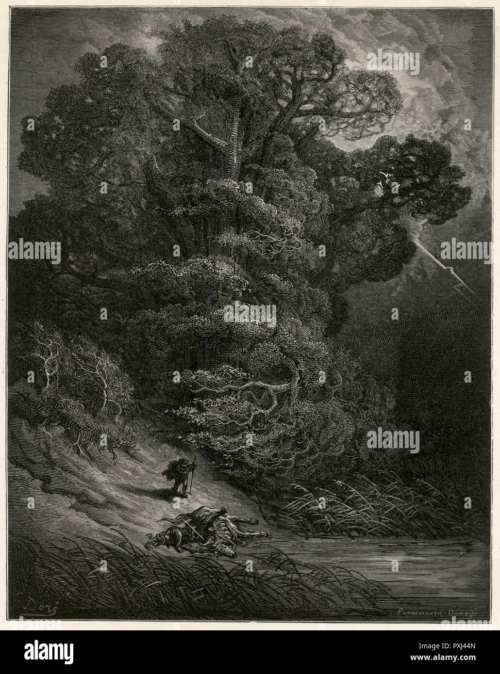 THE OAK AND THE REED Stock Photo - Alamy