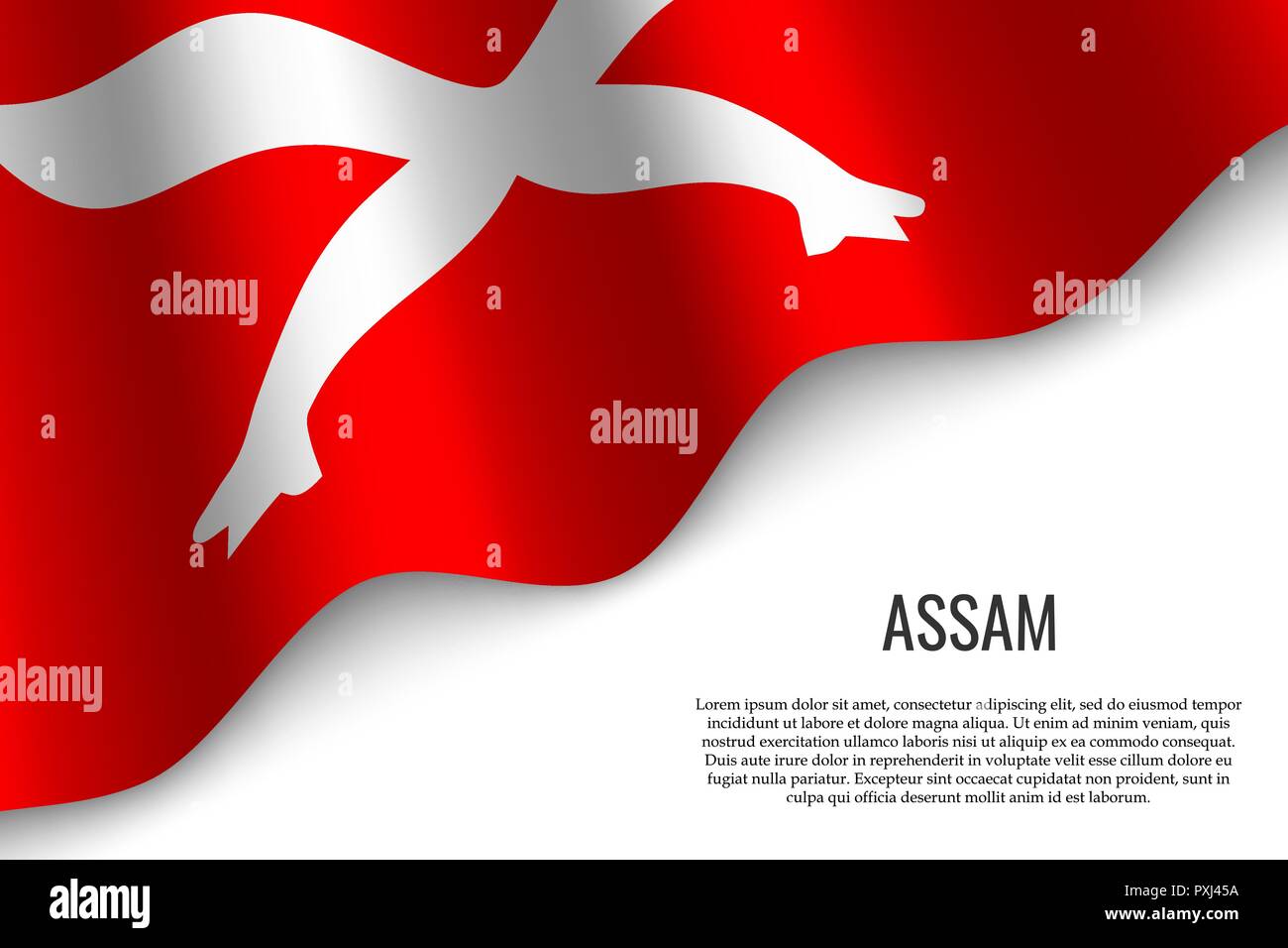 Assam province india hi-res stock photography and images - Alamy