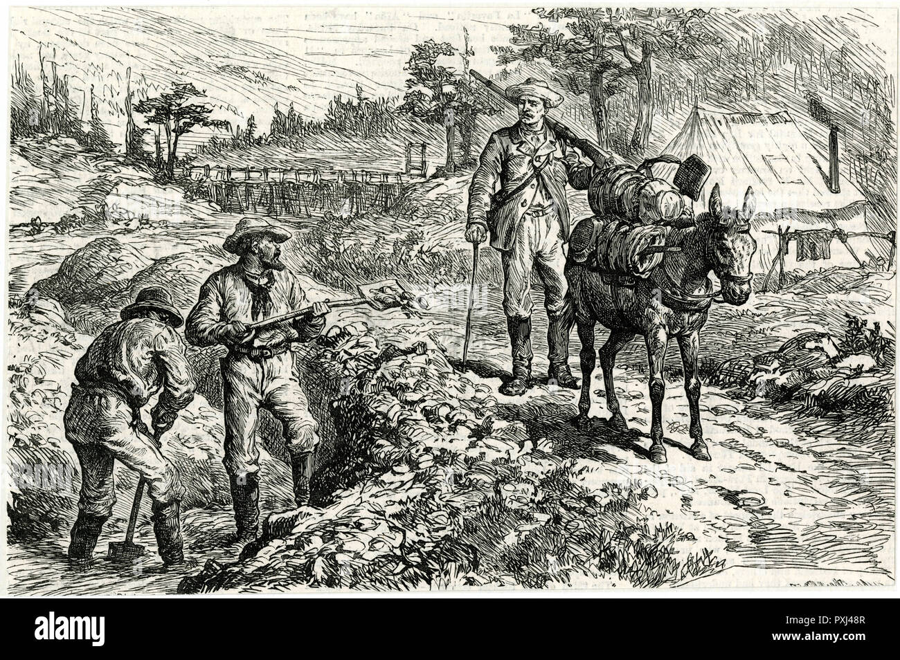 Gold prospectors prospector hi-res stock photography and images - Alamy