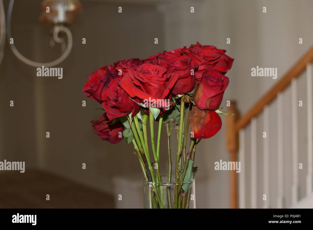 Red roses vase hi-res stock photography and images - Alamy