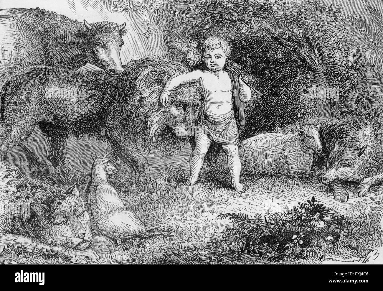 The Wolf And The Lamb High Resolution Stock Photography and Images - Alamy