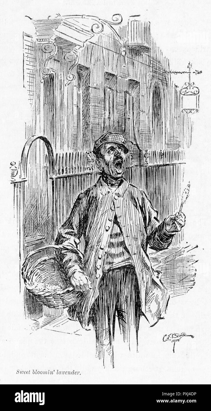 Flowers lavender Black and White Stock Photos & Images - Alamy