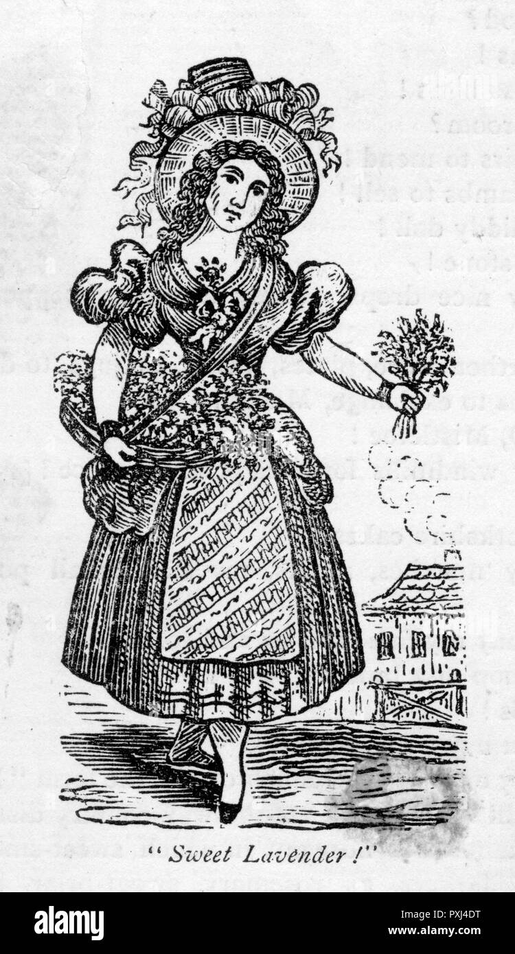 Flowers lavender Black and White Stock Photos & Images - Alamy