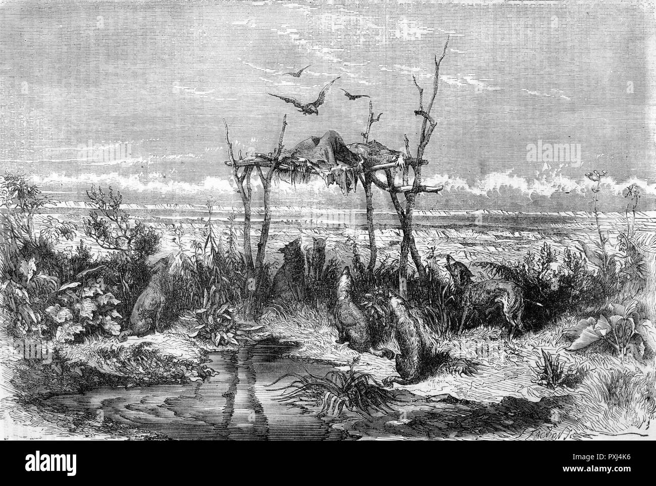 Corpse hi-res stock photography and images - Alamy