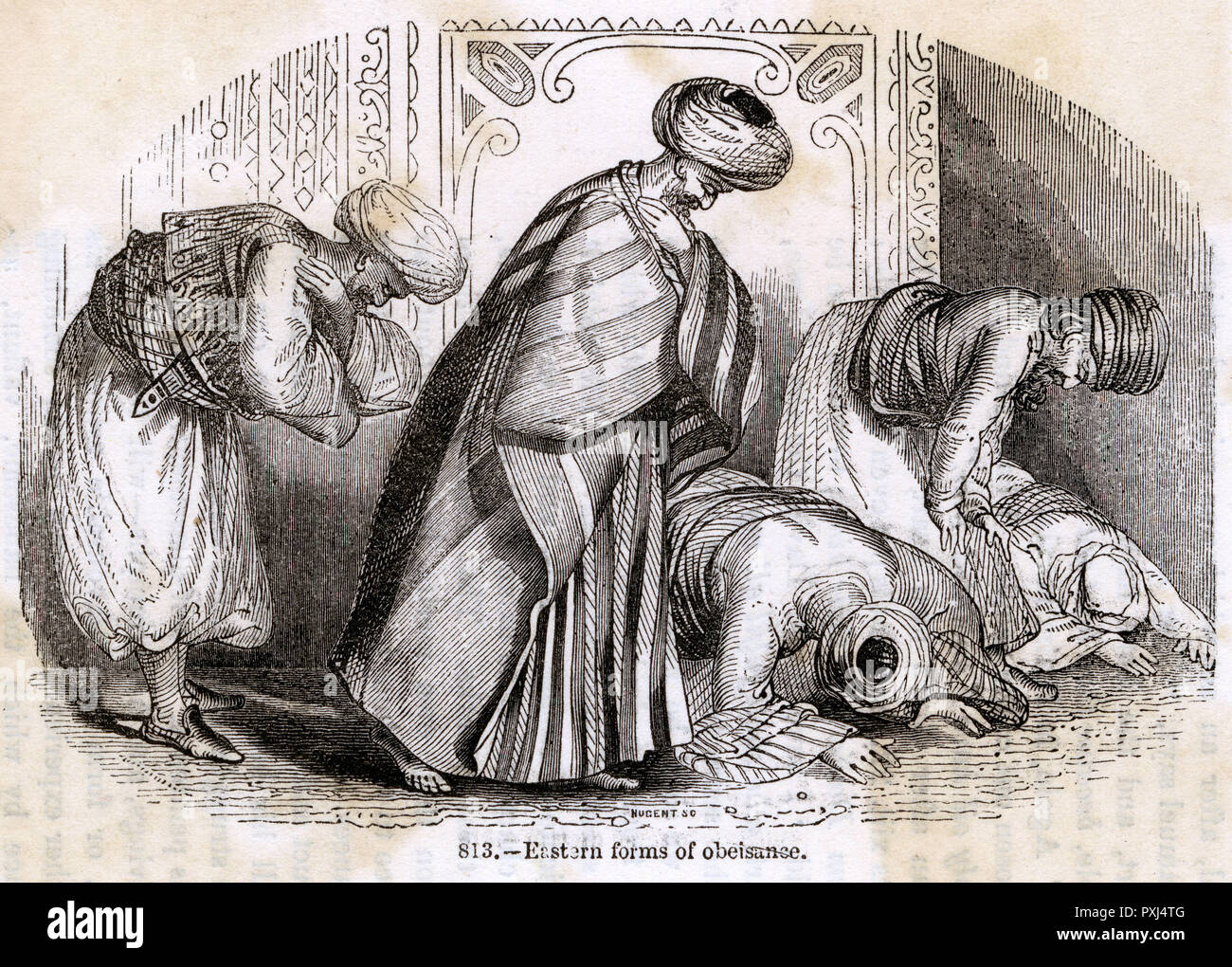 Grovelling High Resolution Stock Photography and Images - Alamy