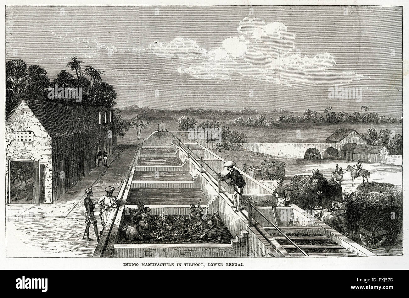 Indigo factory bengal hi-res stock photography and images - Alamy