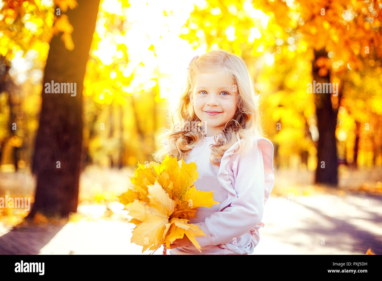 Adorable little girl playing with autumn leaves outdoors in the park ...