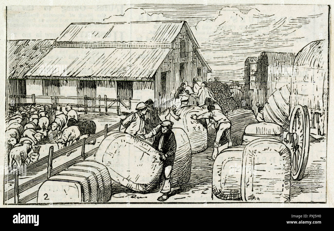 Transporting wool bales hi-res stock photography and images - Alamy