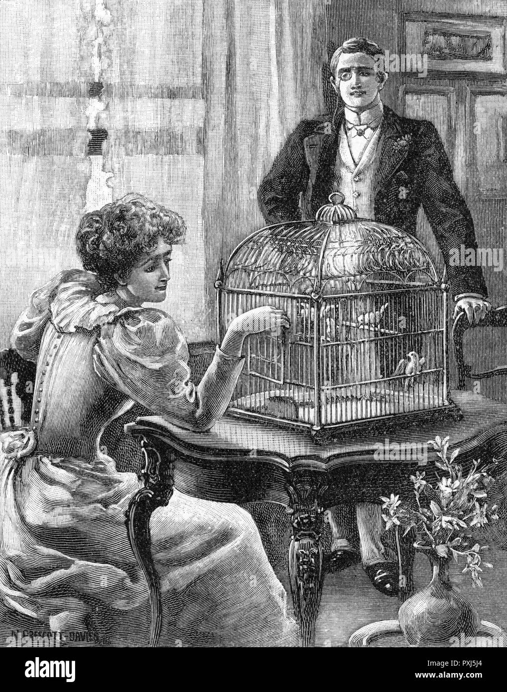 Gilded Cage High Resolution Stock Photography and Images - Alamy