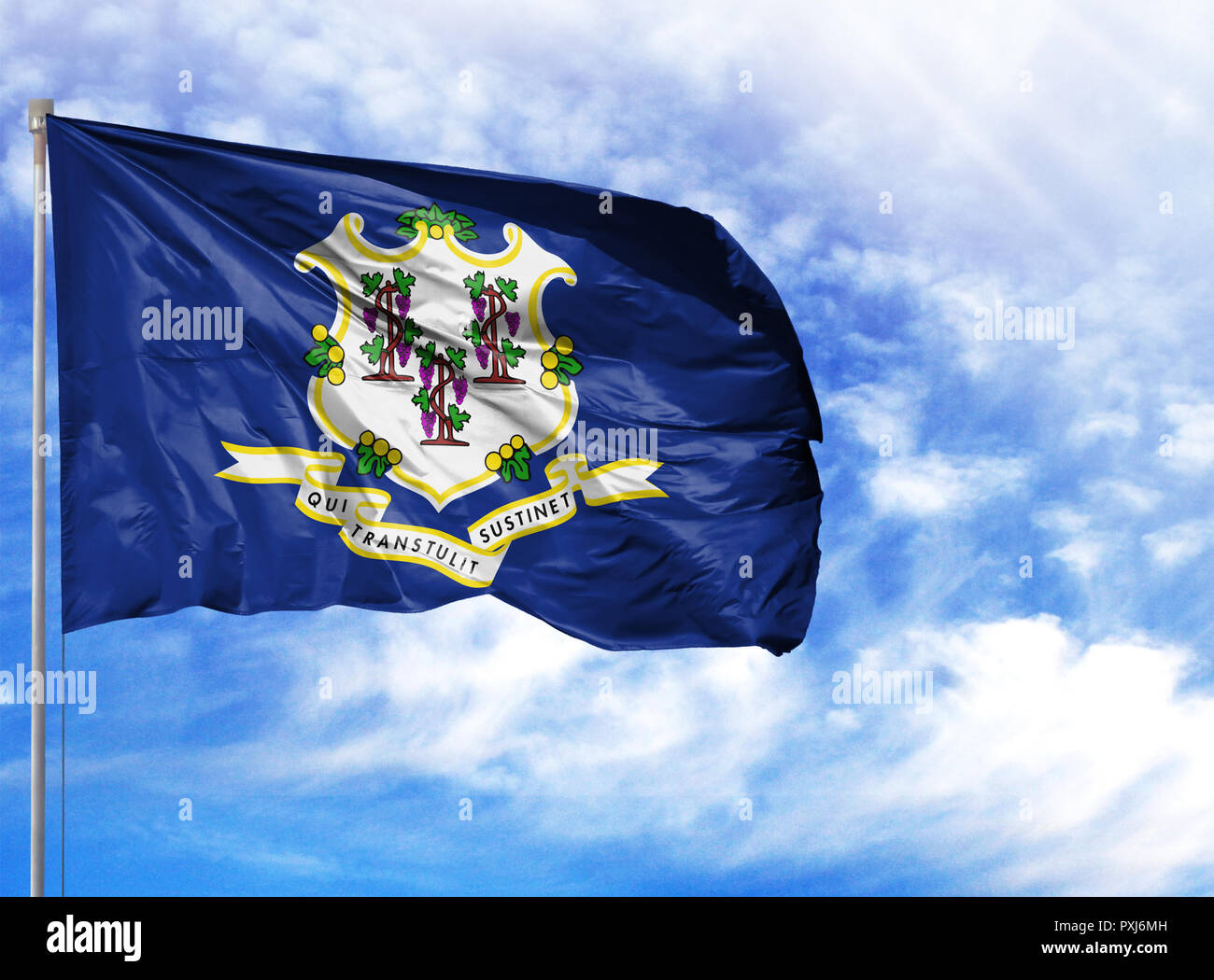 flag State of Connecticut on a flagpole in front of blue sky Stock ...