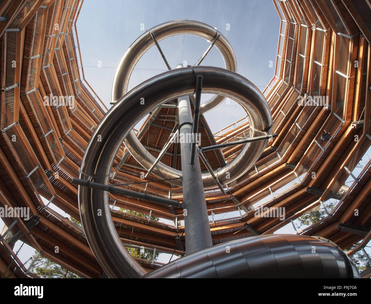 Tree top walk, Bad Wildbad, black forest, Germany Stock Photo - Alamy