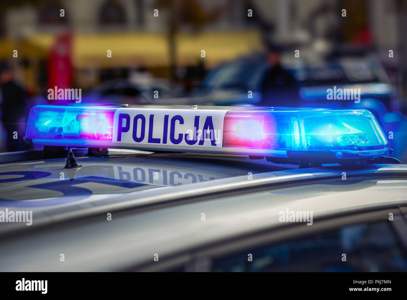 Police car rooster with red and blue warning lights and sign Stock ...