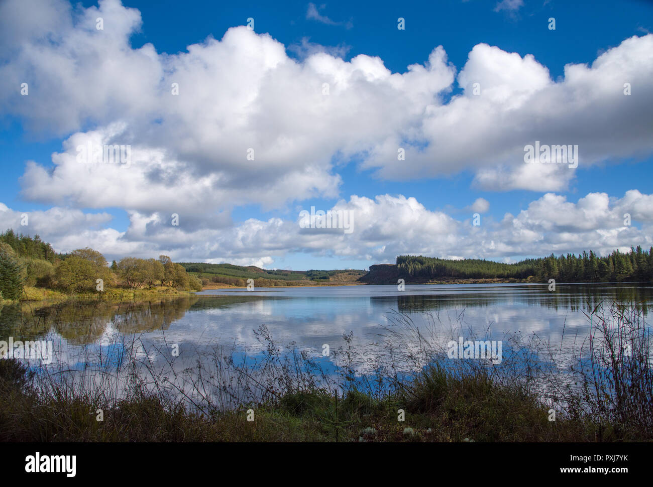 Lough navar forest ireland hi-res stock photography and images - Alamy