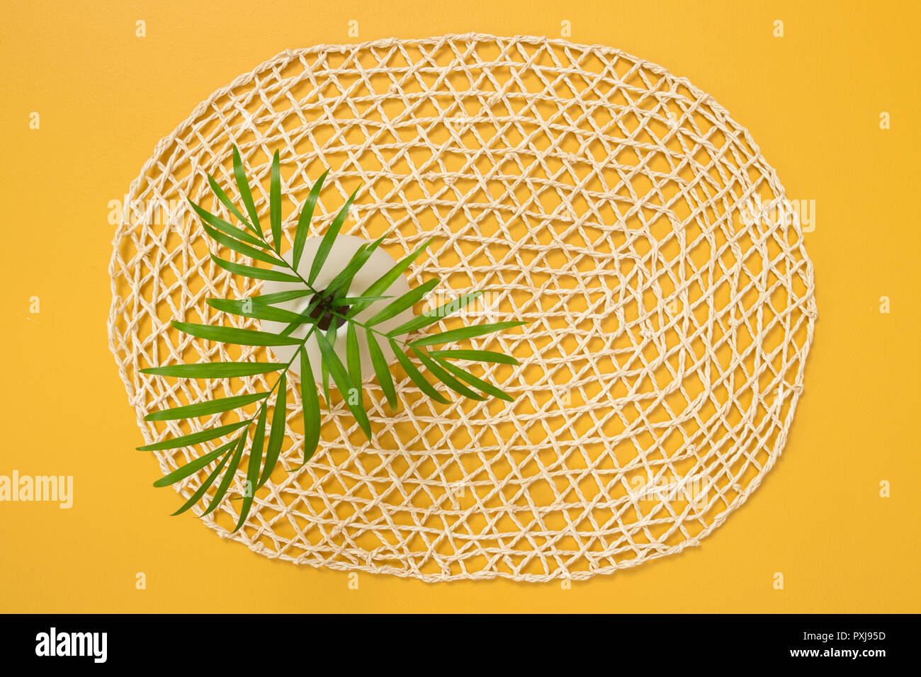 Palm leaves in a vase on a decorative yellow background. Tropical ...