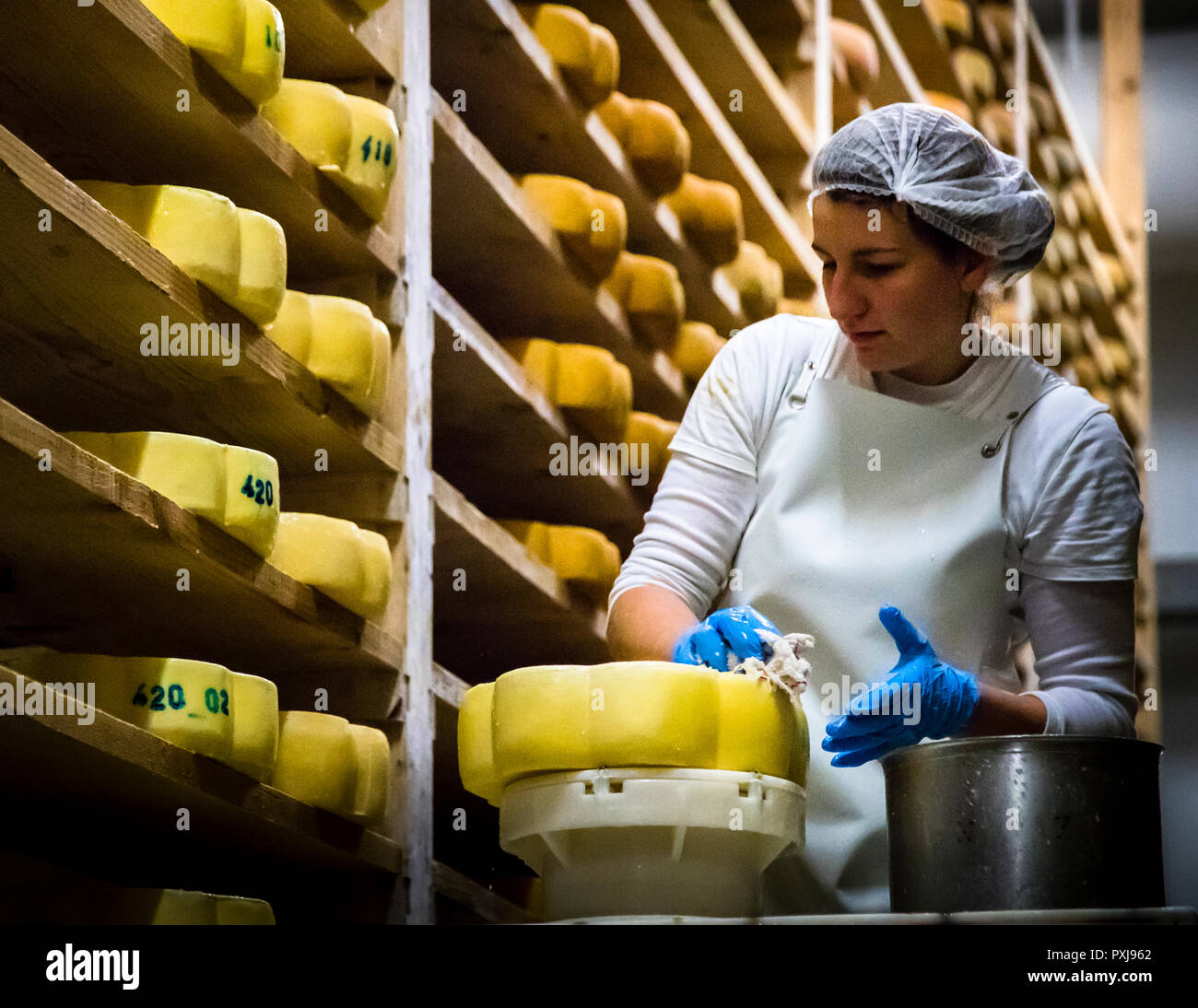 Cheese Production in Franche-Comté, France Stock Photo - Alamy