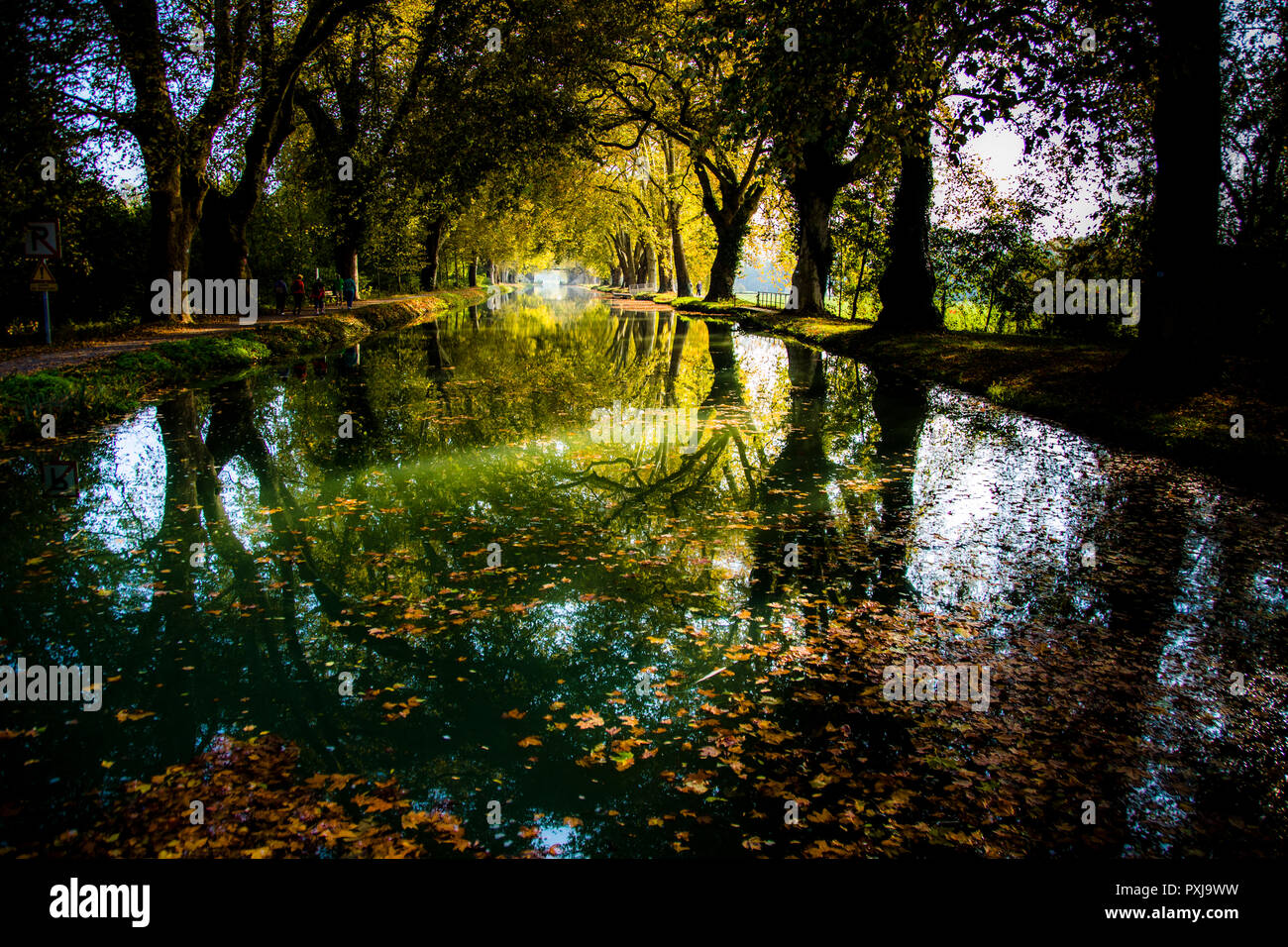 Rhone–Rhine Canal near Dole, France Stock Photo - Alamy
