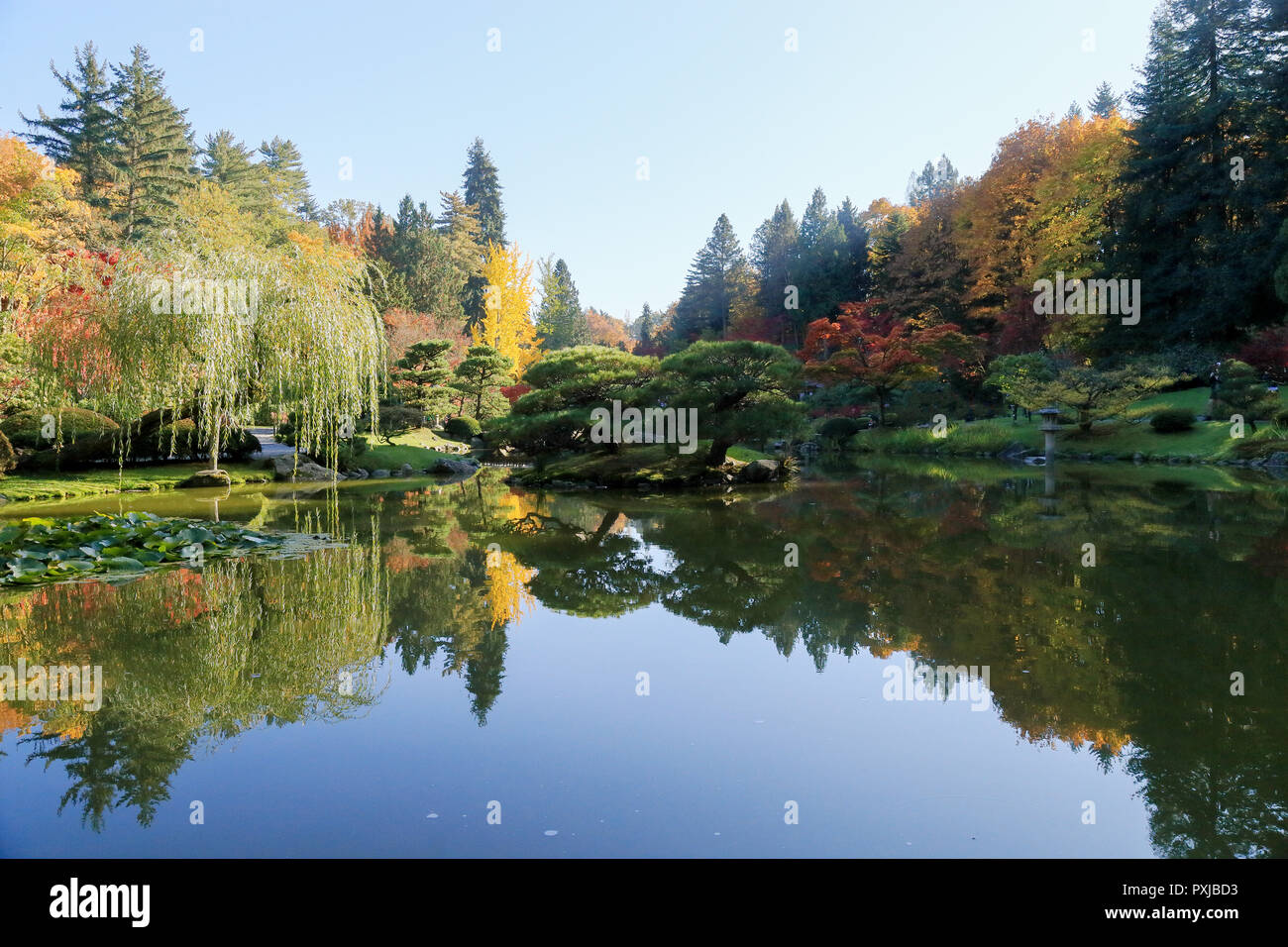 Seattle fall foliage hi-res stock photography and images - Alamy