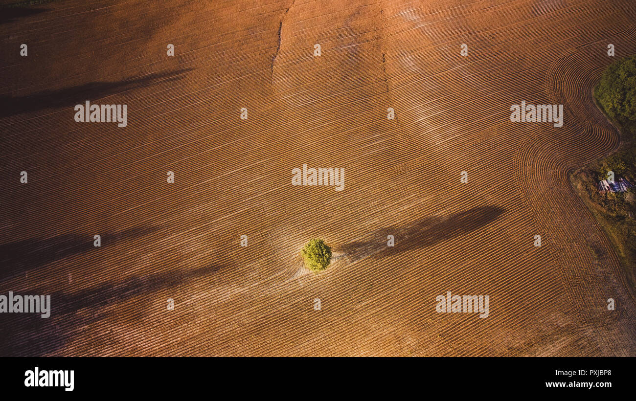 Ontario historic map hi-res stock photography and images - Alamy