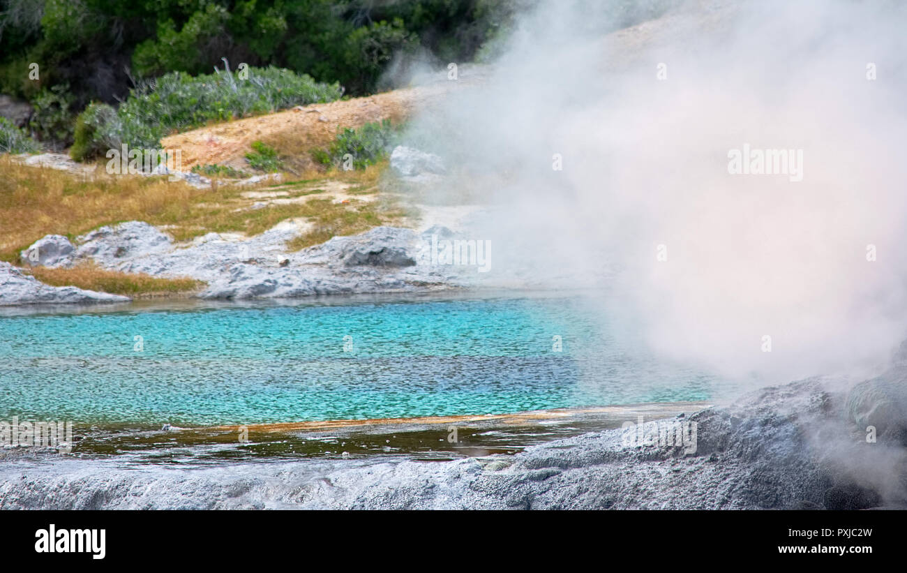 Te puke new zealand hi-res stock photography and images - Alamy