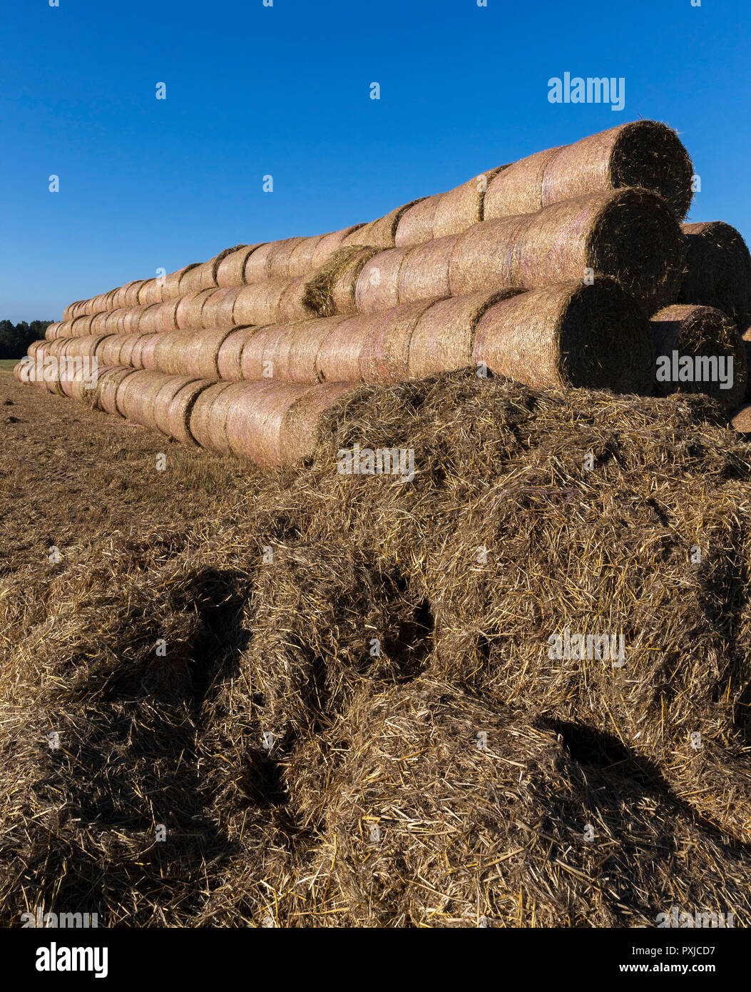 a large number stacked on each other stacks of straw, in front of which ...