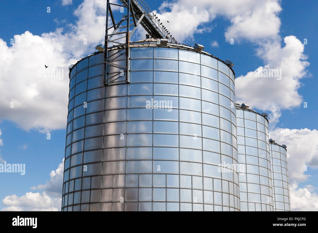 a silo container for storing grain and other agricultural products ...