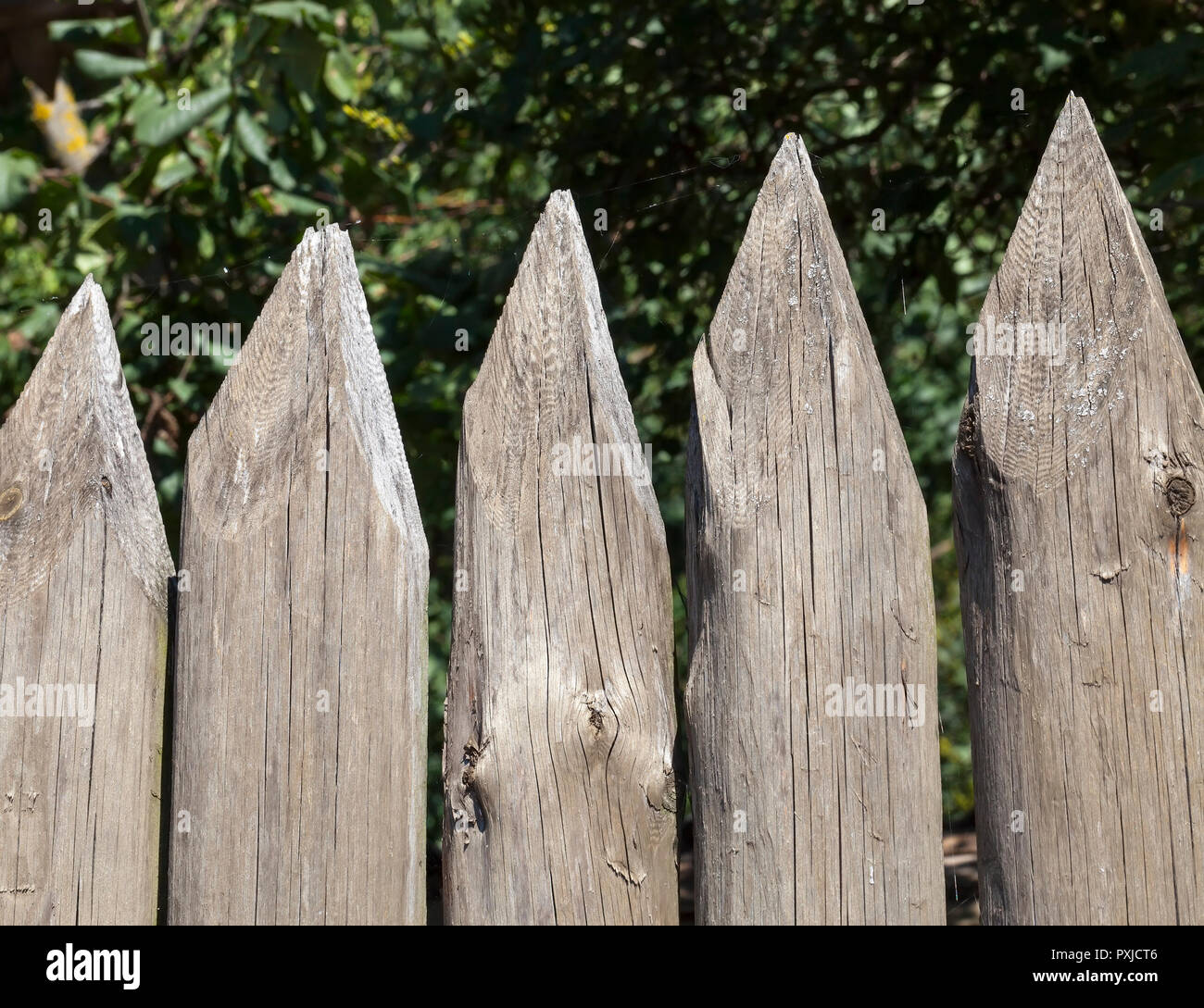 made of small boards and logs of a part of the sharp stockade on the ...