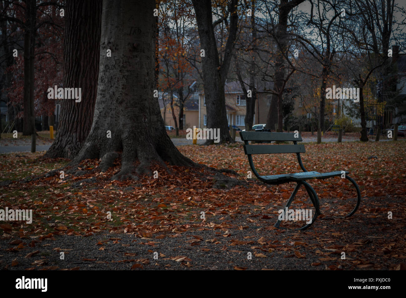 DIY Garden Bench Ideas - Free Plans for Outdoor Benches: Bench In Park ...