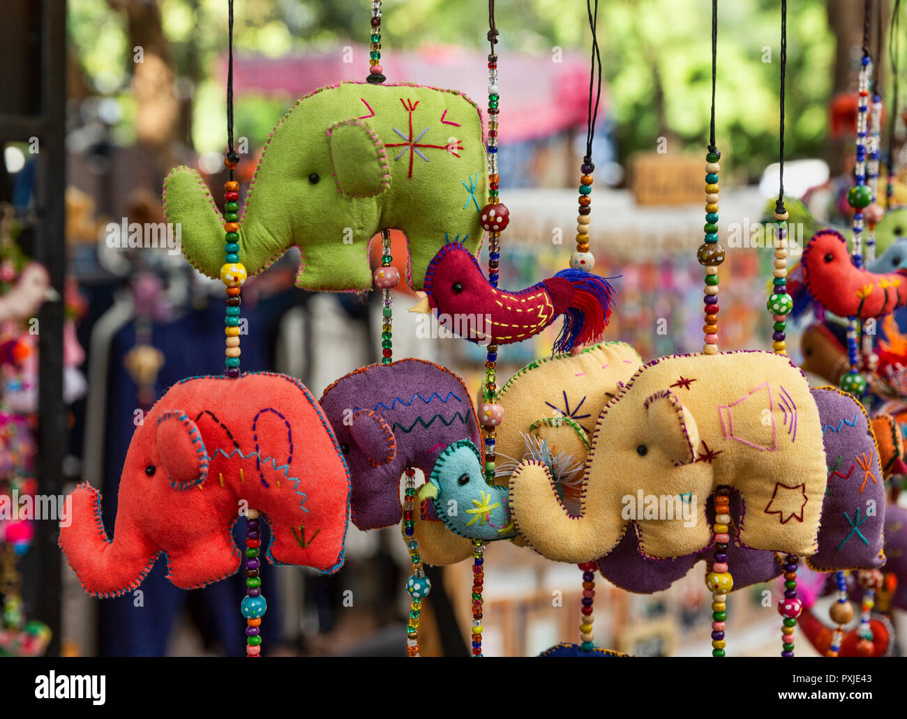 Best of thai elephants hi-res stock photography and images - Alamy