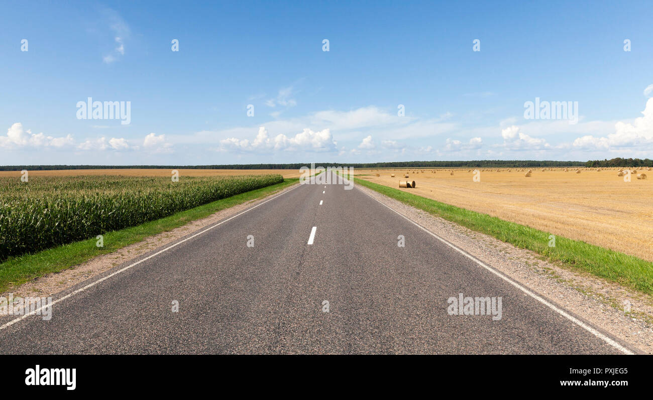 asphalt road built through agricultural fields in various plants Stock ...