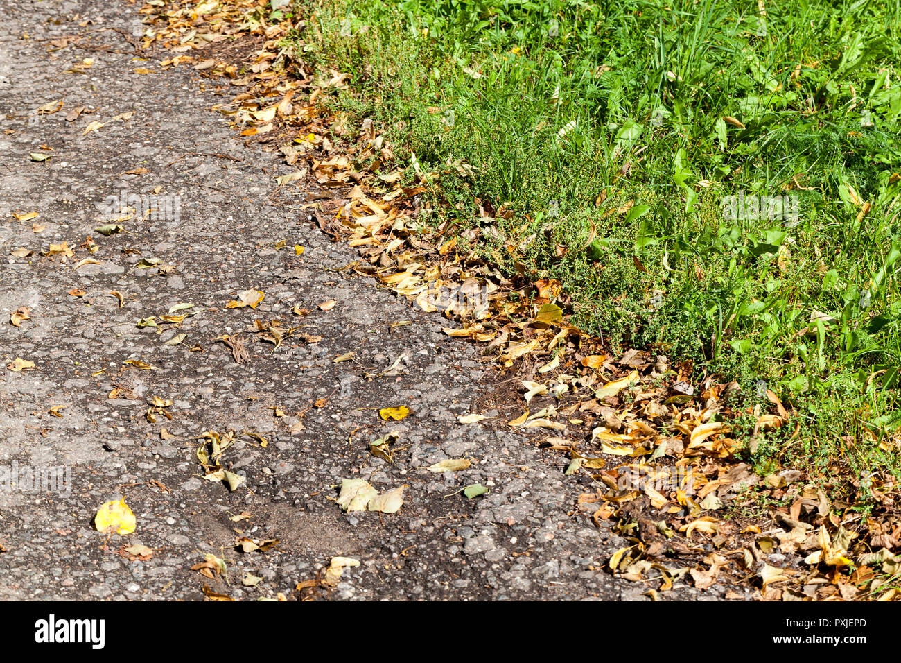 Grass on the roadside hi-res stock photography and images - Alamy