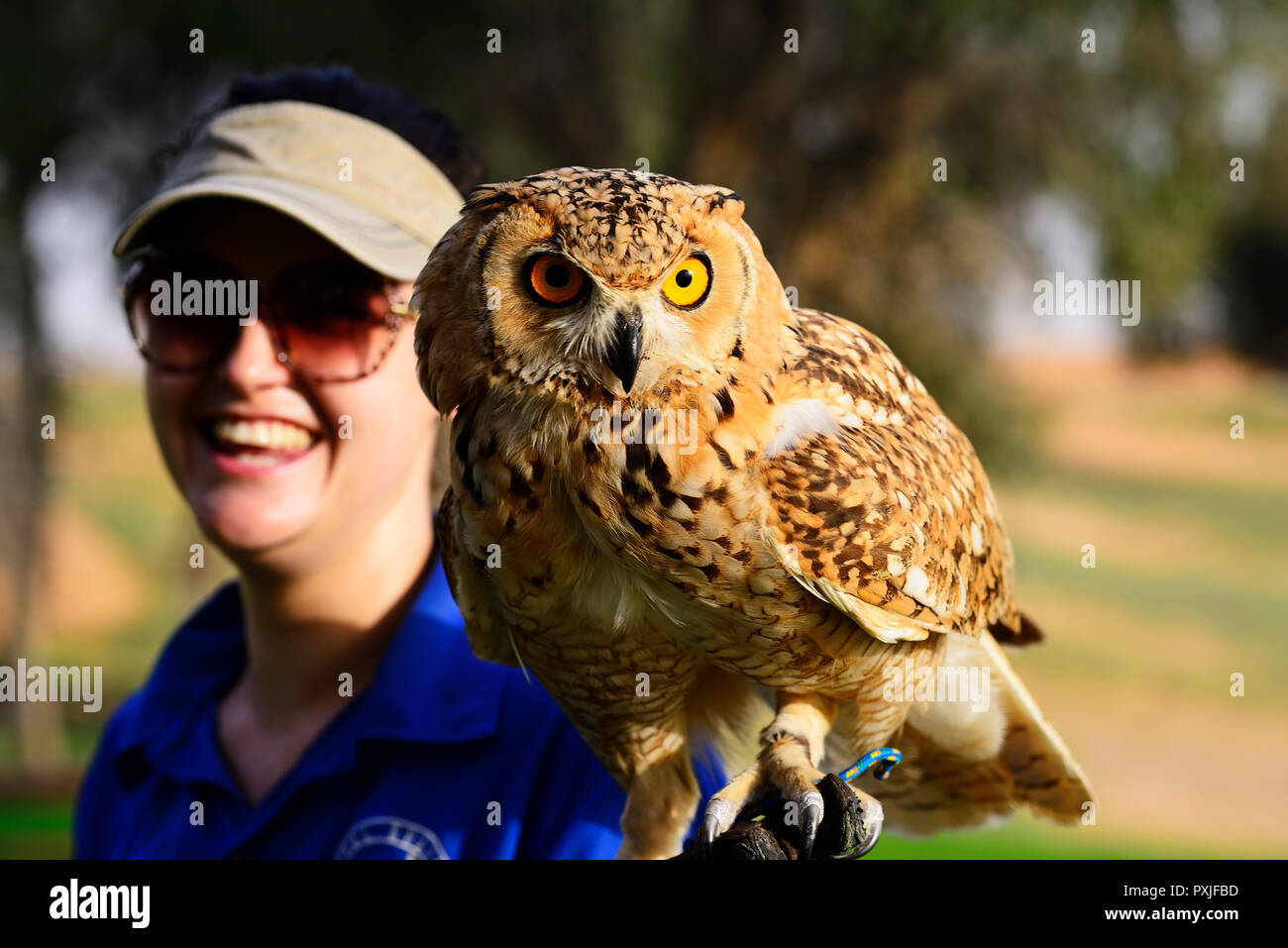 Arab eagle hi-res stock photography and images - Alamy