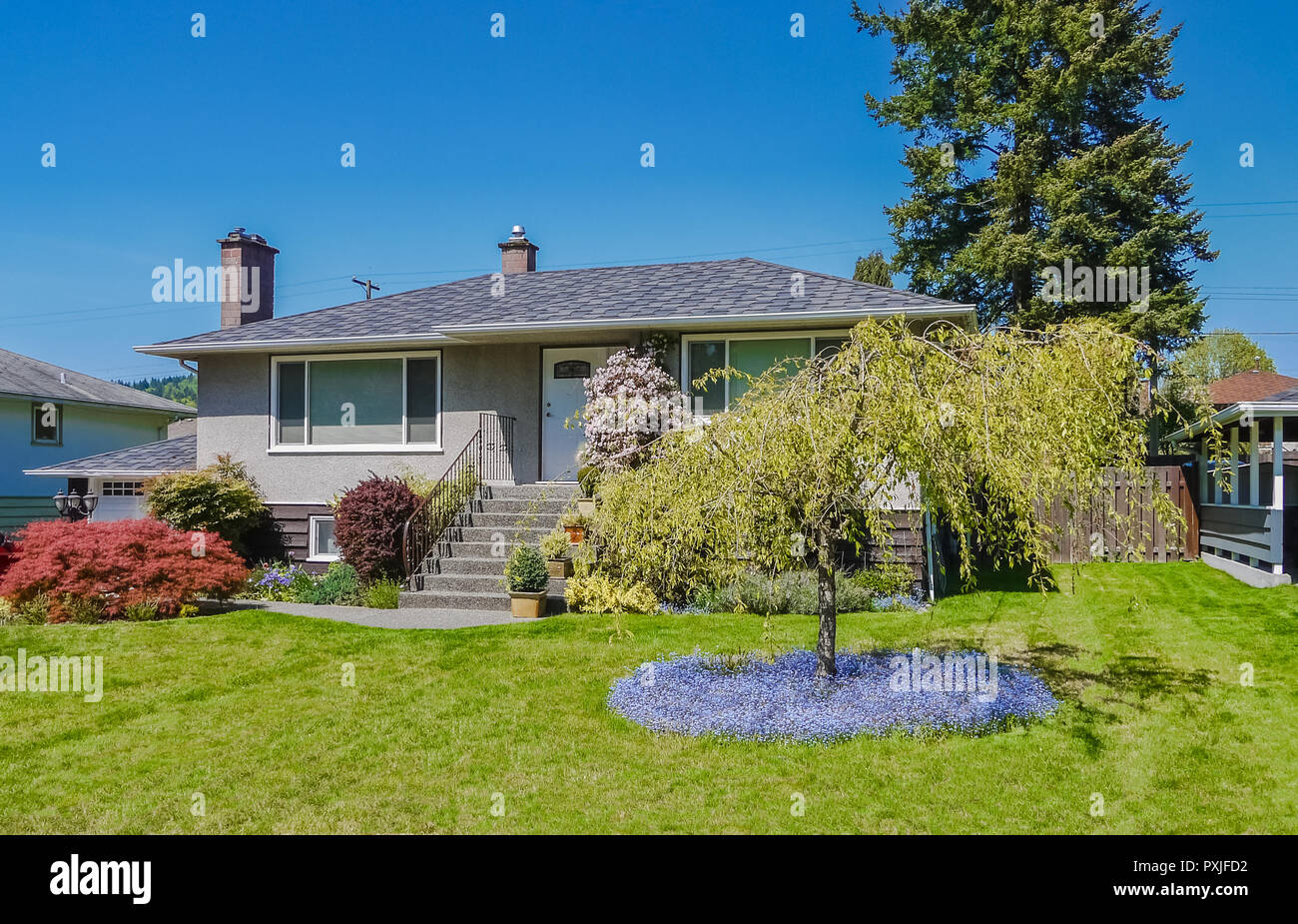 Average family house with nicely decorated front yard on blue sky ...