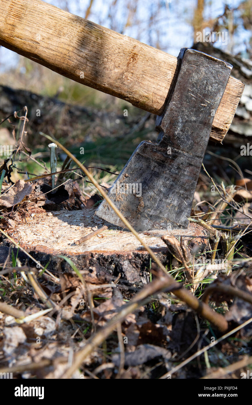 axe and stump close up Stock Photo - Alamy