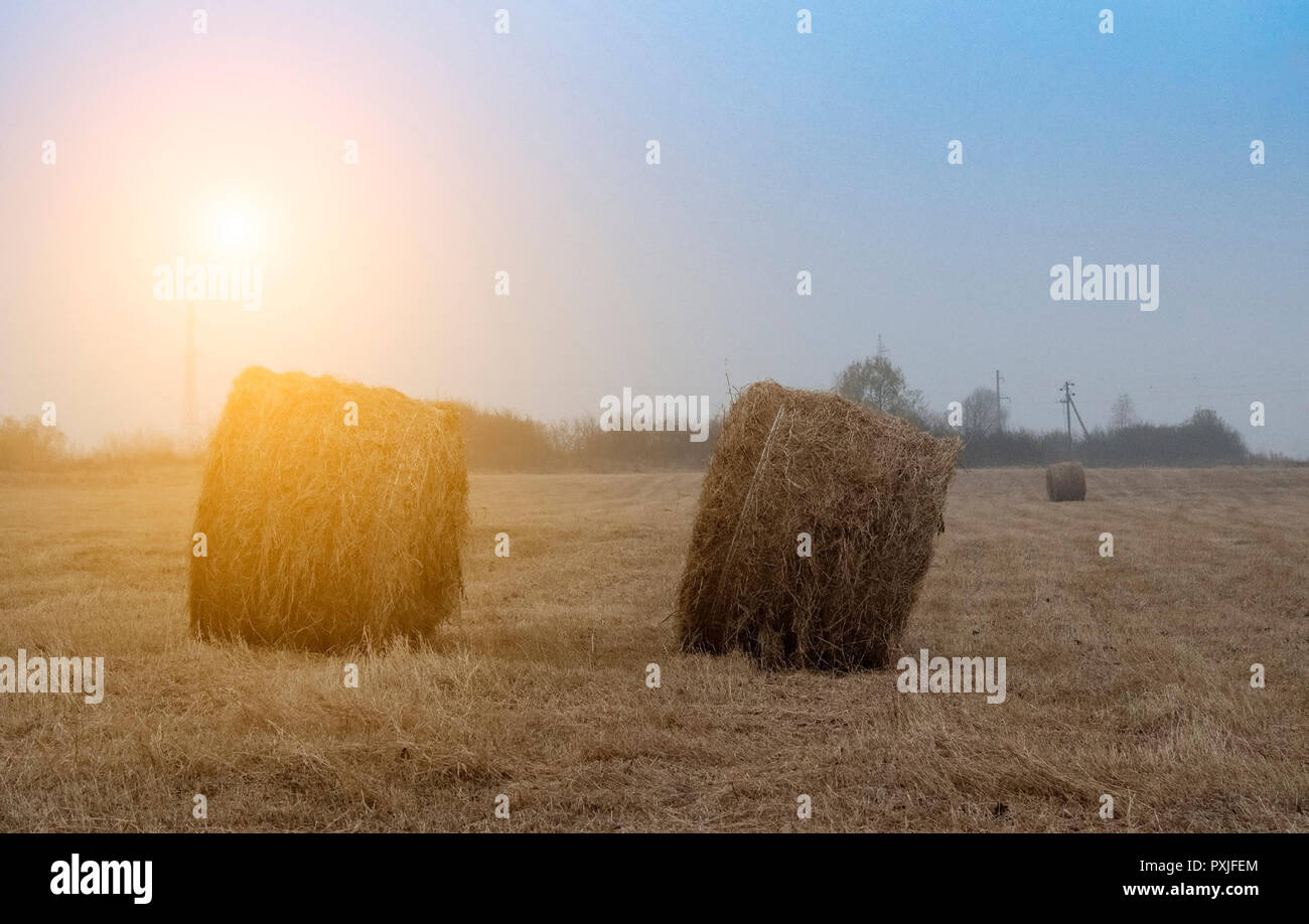 Field of straw bales hi-res stock photography and images - Alamy