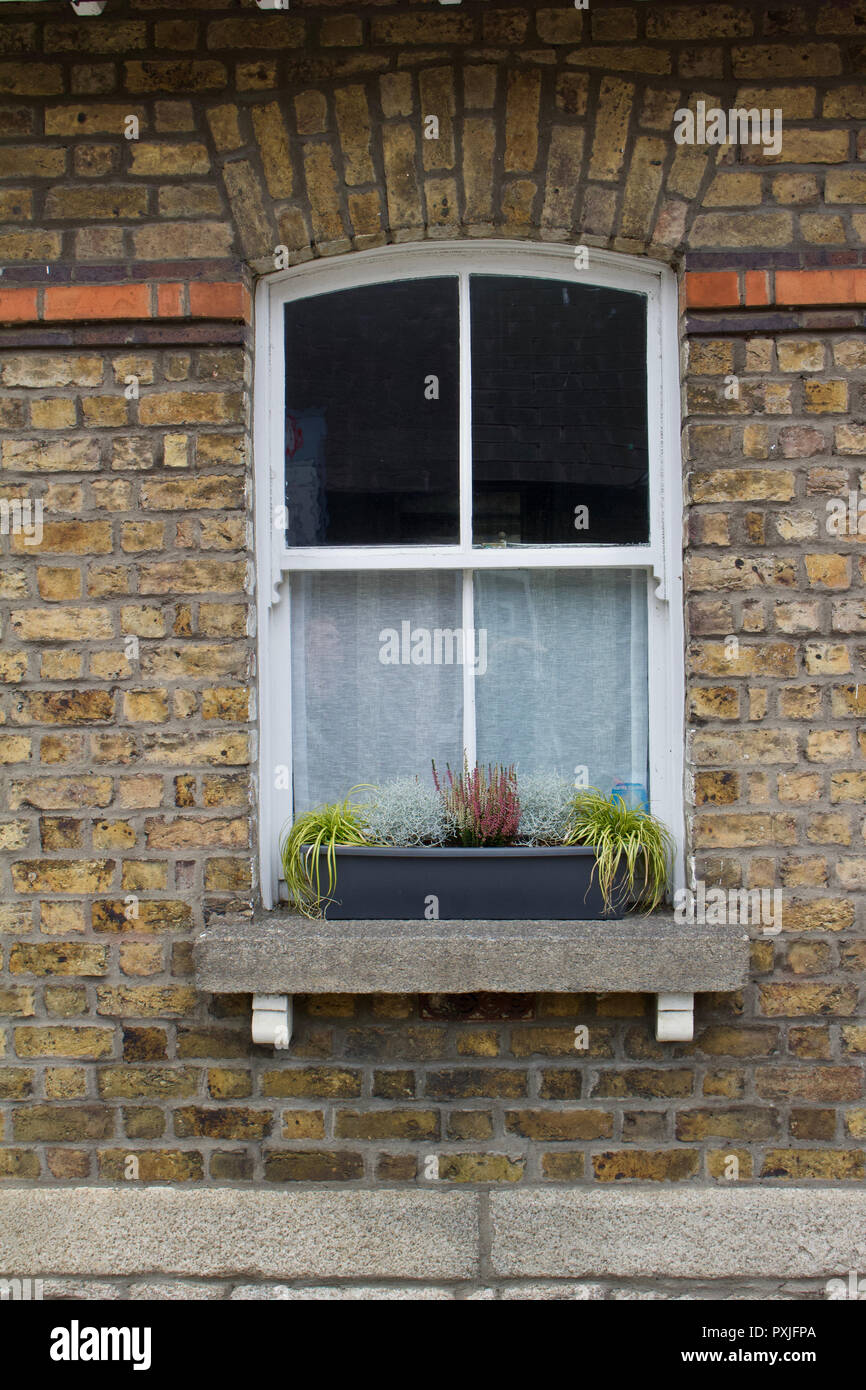 Close up view of a single white double-hung arched window on a light ...