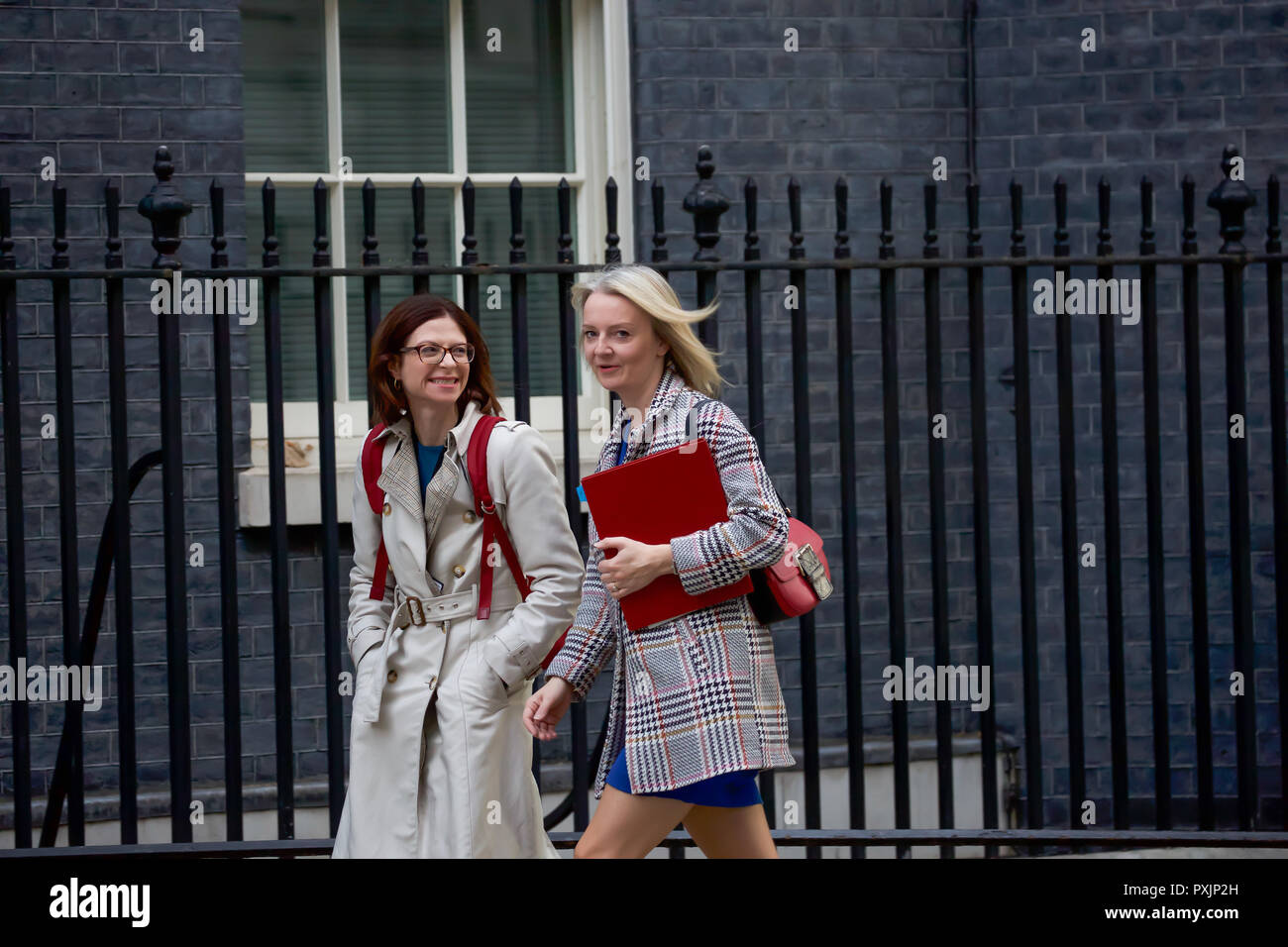 London,UK,23rd October 2018,Chief Secretary to the Treasury The Rt Hon ...