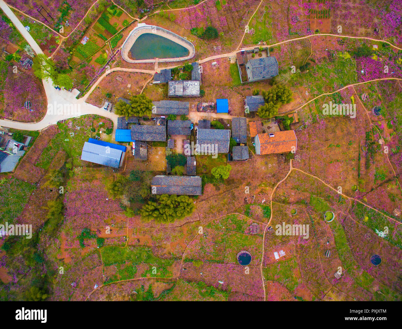 Longquan chengdu hi-res stock photography and images - Alamy