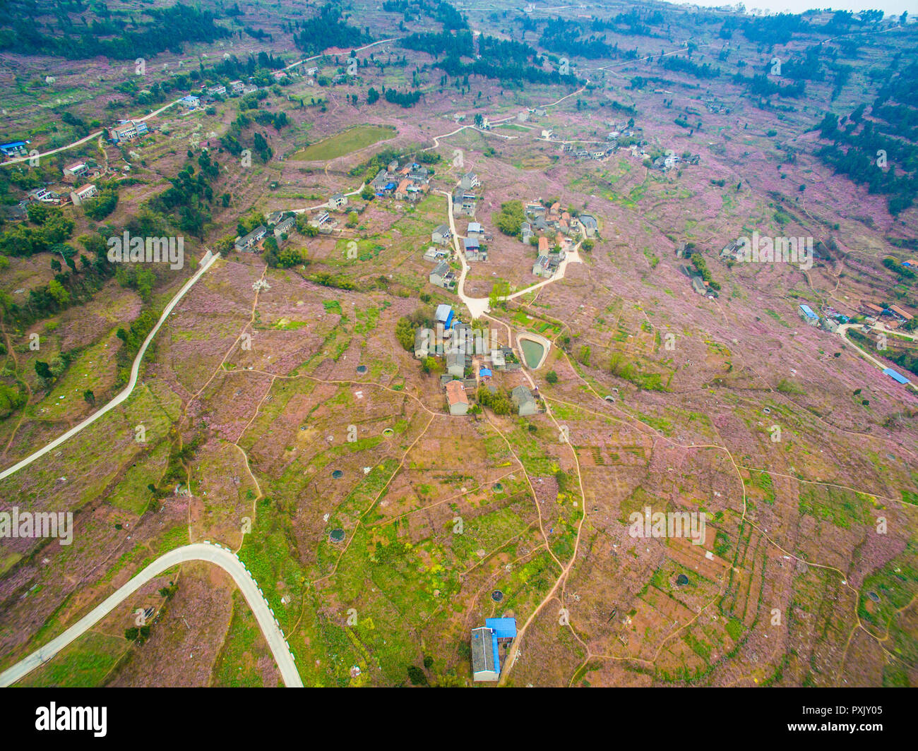 Longquan chengdu hi-res stock photography and images - Alamy
