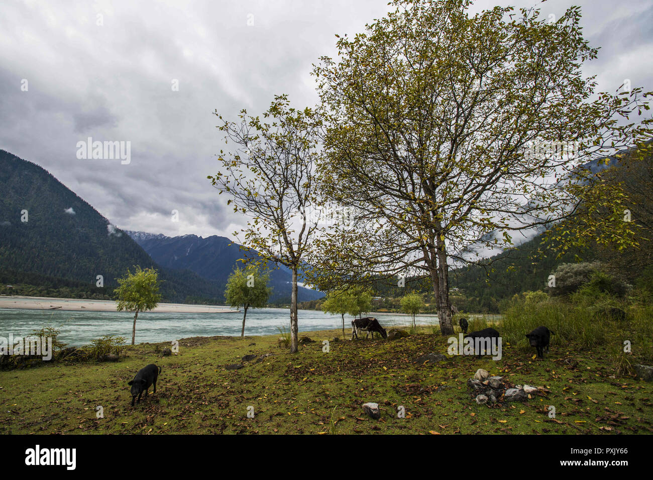 19700413 hi-res stock photography and images - Alamy