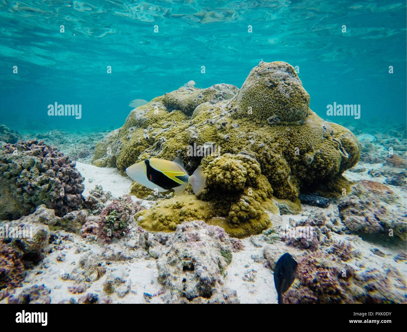 Managaha Island Stock Photos & Managaha Island Stock Images - Alamy