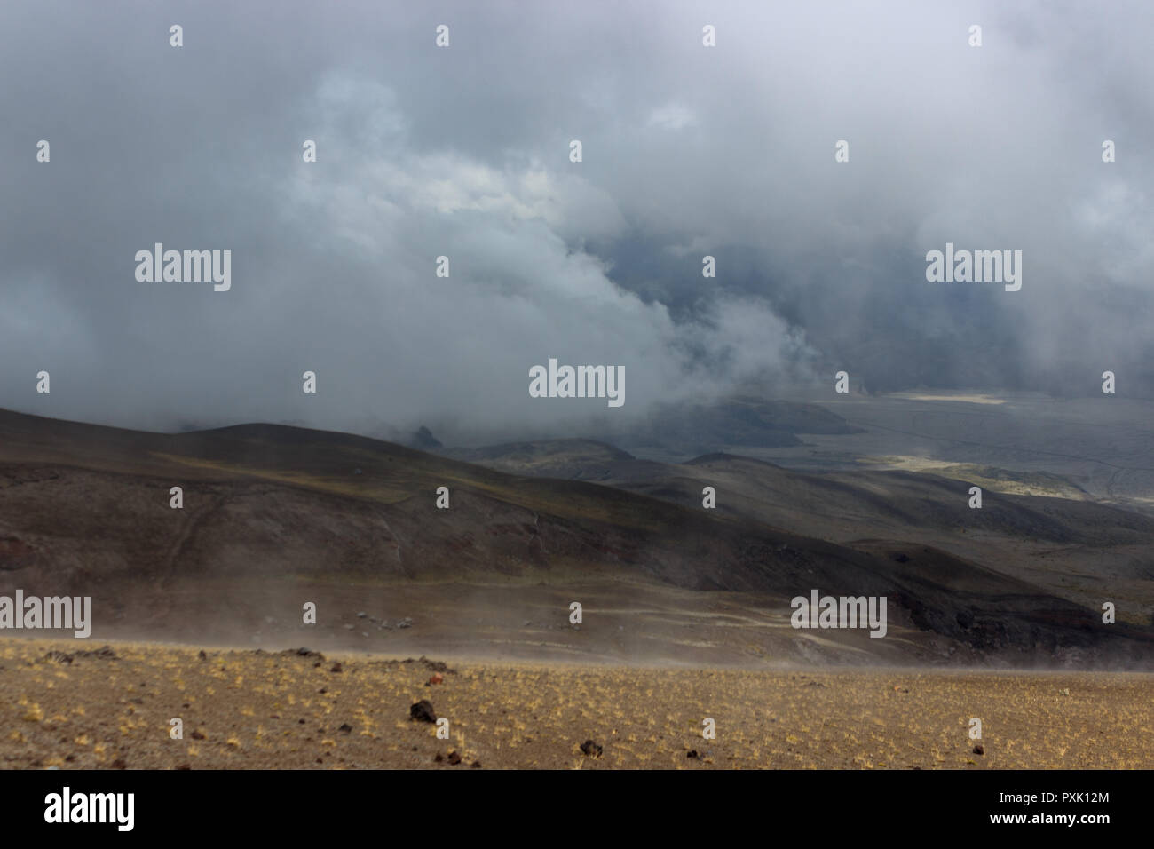 View on the strato vulcano cotopaxi, ecuador Stock Photo - Alamy
