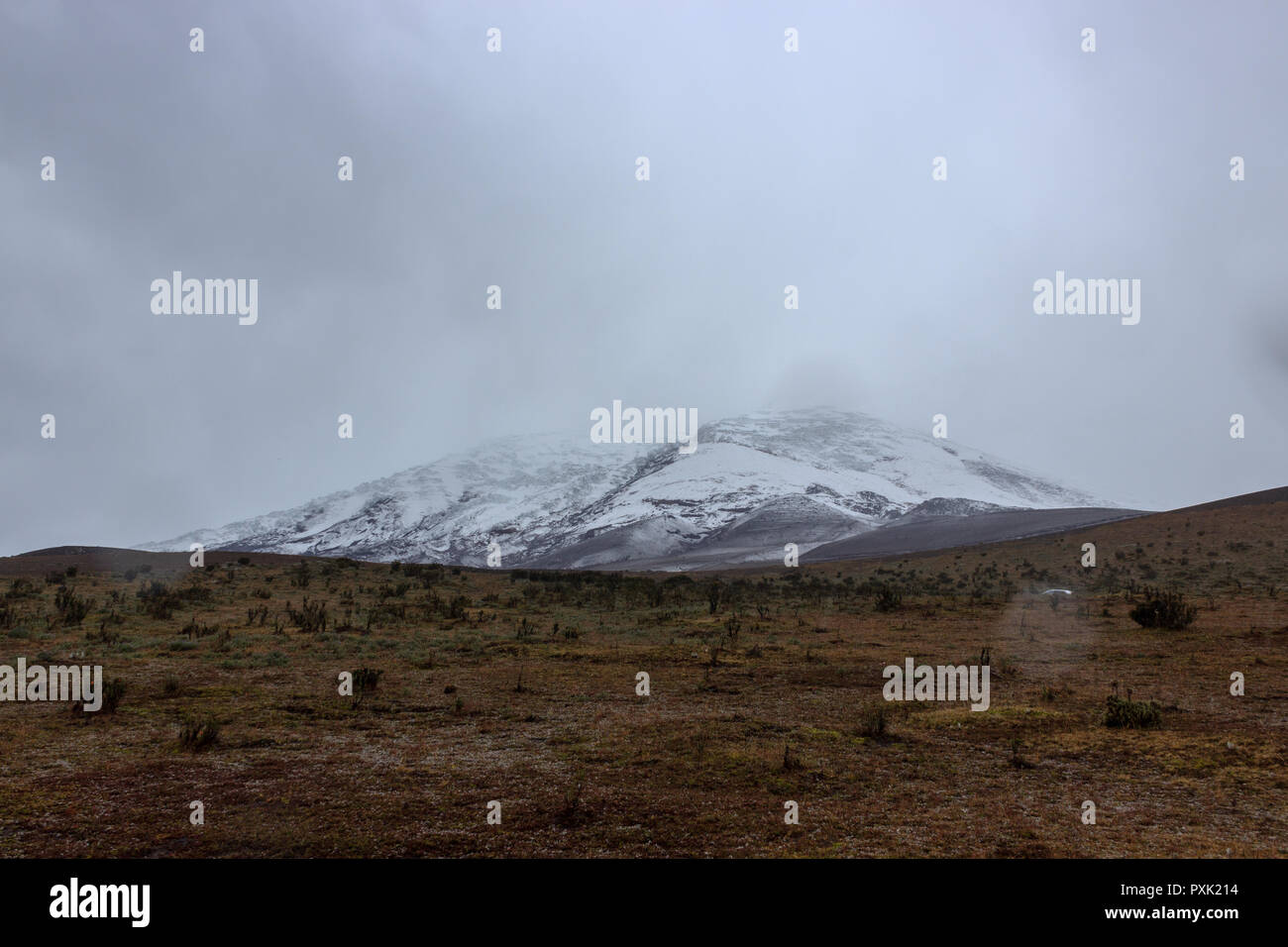 Cotopaxi vulcano ecuador hi-res stock photography and images - Alamy