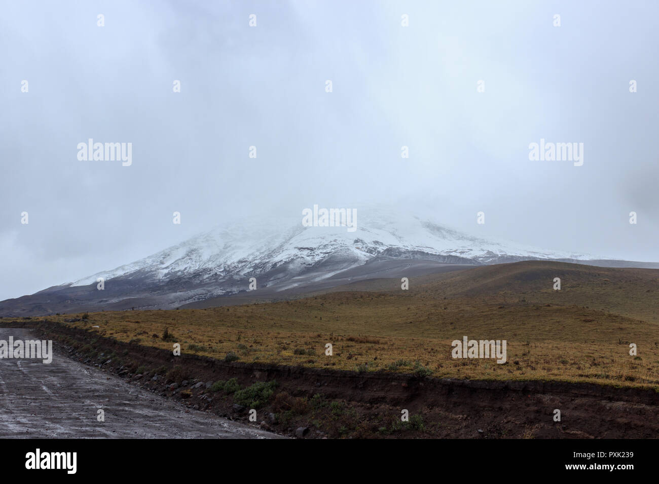 View on the strato vulcano cotopaxi, ecuador Stock Photo - Alamy