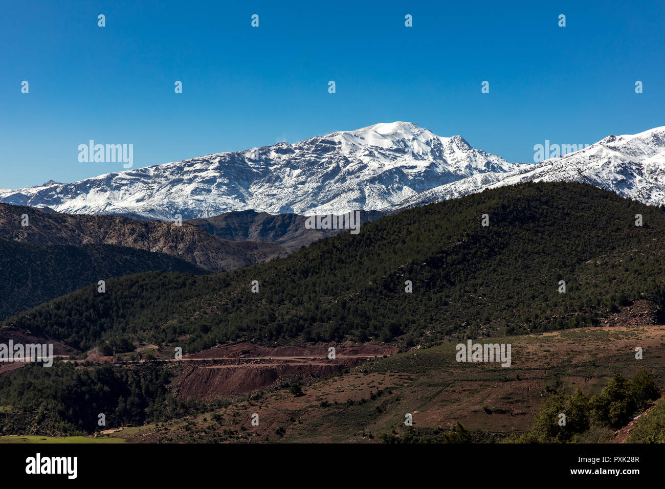 Desert scenery marrakech hi-res stock photography and images - Alamy