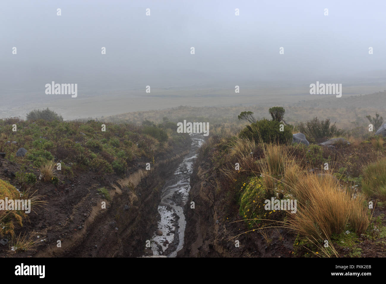 Cotopaxi vulcano ecuador hi-res stock photography and images - Alamy